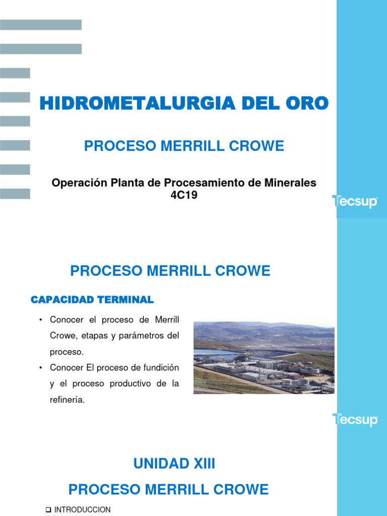SESION 13 - Merrill Crowe | PDF | Filtración | Precipitación (Química)