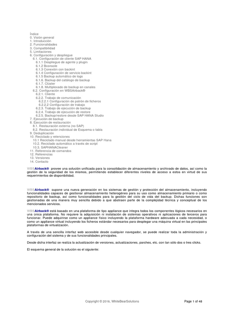 Manual Sap Hana | PDF | Apoyo | Big Data