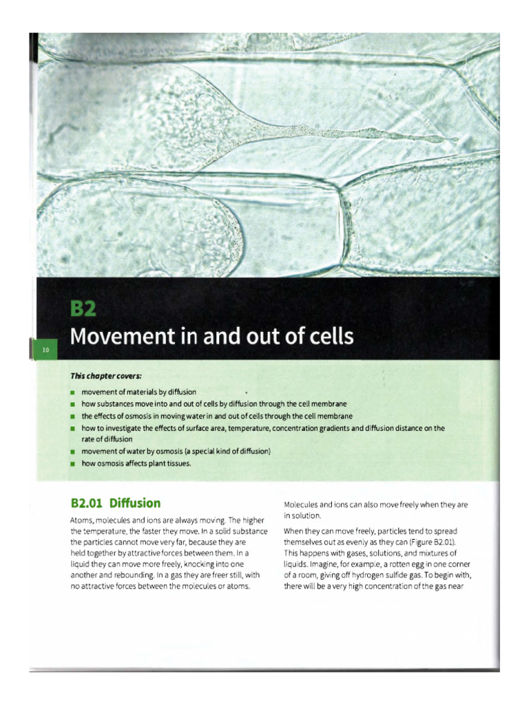 Combined BOOK B2 MOVEMENT IN & OUT OF CELLS P. 25-35 | PDF
