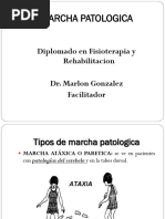 Tipos de Marcha | PDF | Sistema musculoesquelético | Enfermedades y ...