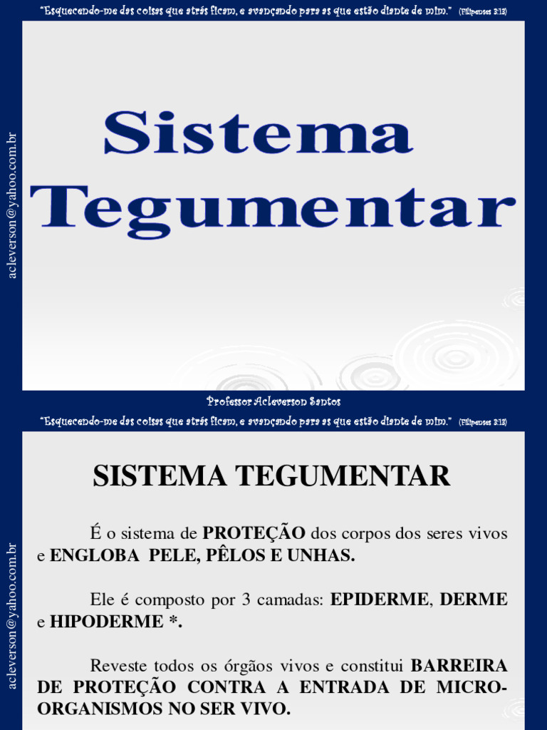 Aula 06 Sistema Tegumentar Pdf Epitélio órgão Anatomia
