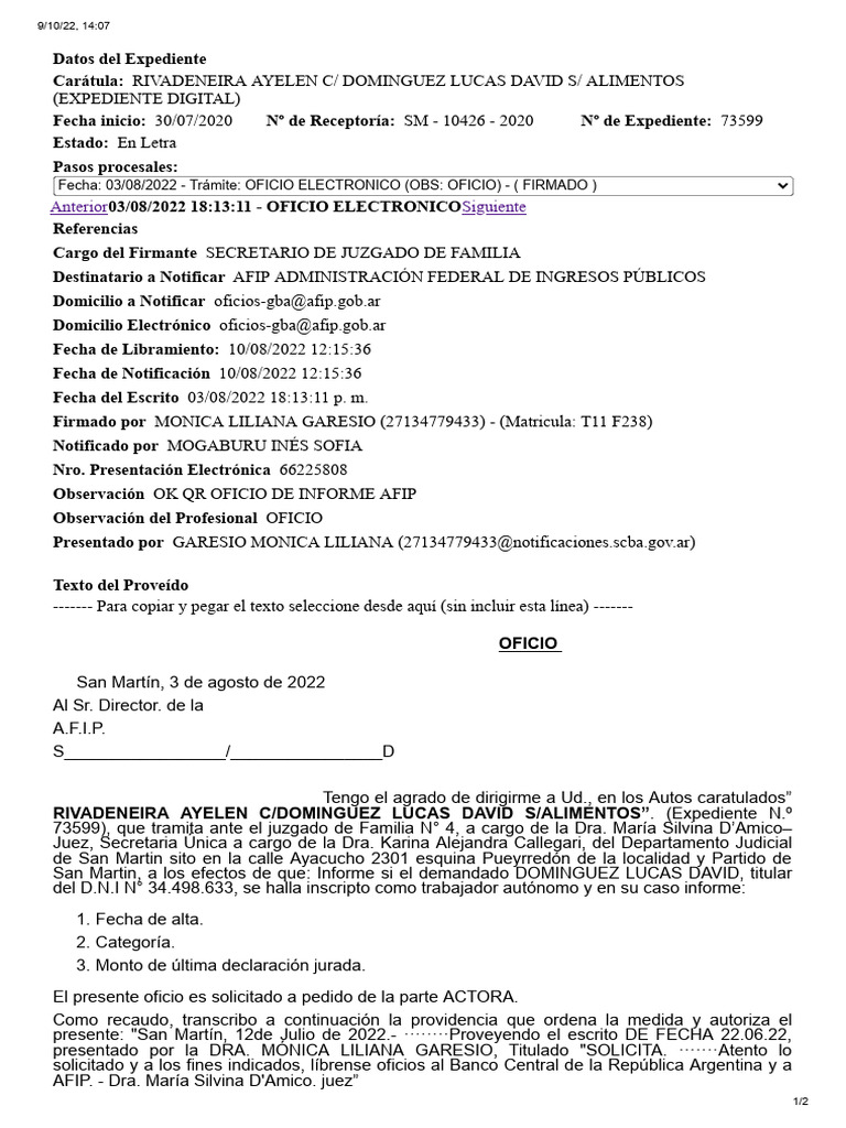 Oficio Afip Rivadeneira | PDF | Argentina