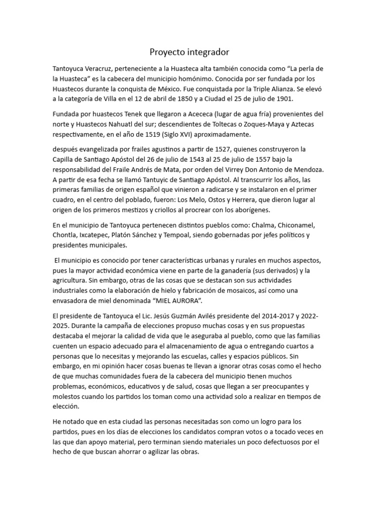 Proyecto Integrador | PDF