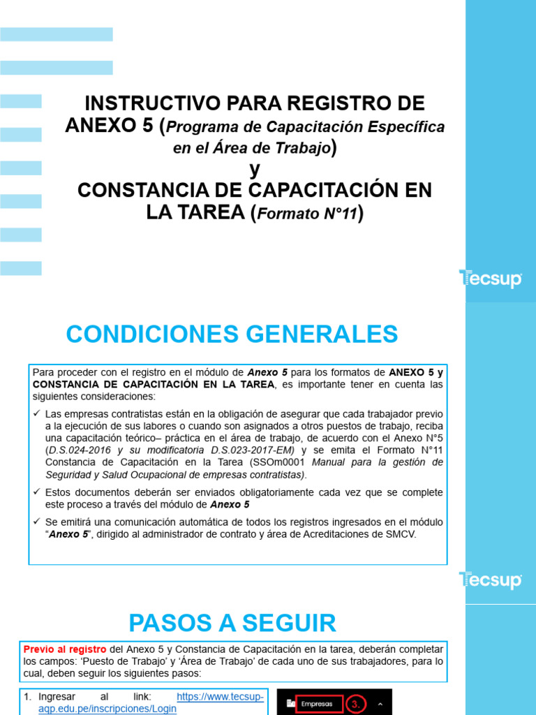 Instructivo - Módulo 'Anexo 5' V15Mar2024 | PDF | Informática | Software