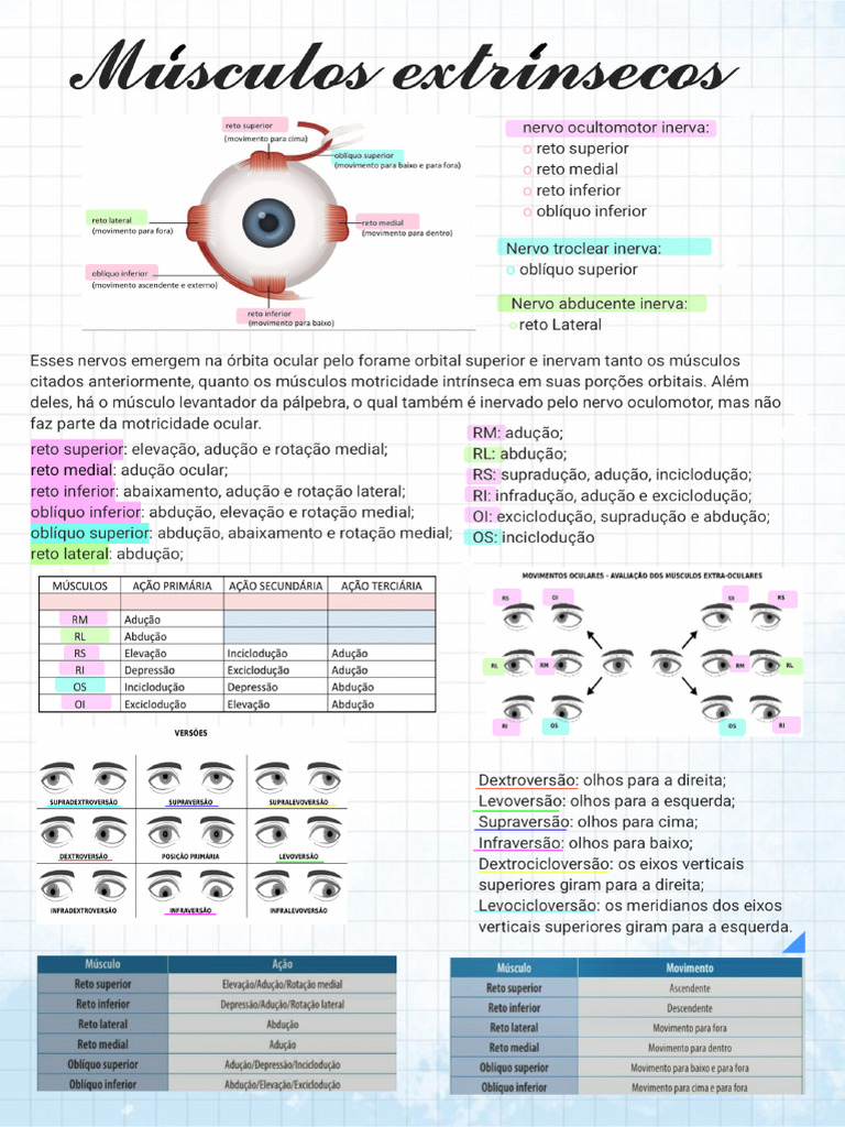 Músculos Extrínsecos | PDF