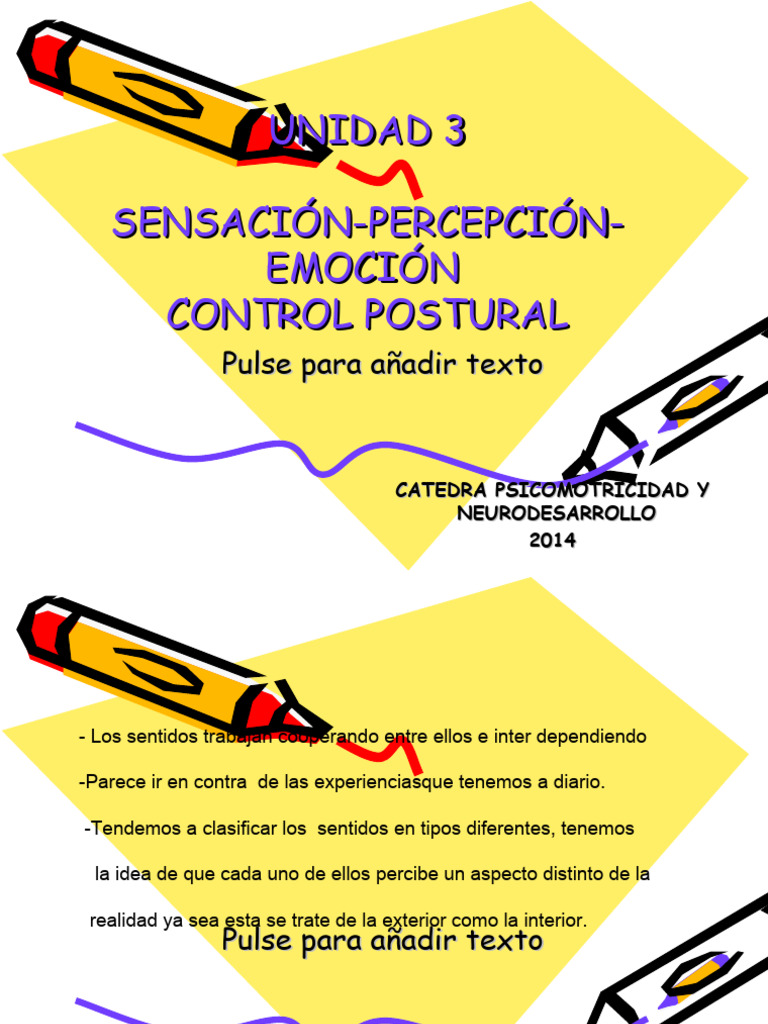 UNIDAD 3 Sensación- percepción | PDF | Percepción | Las emociones