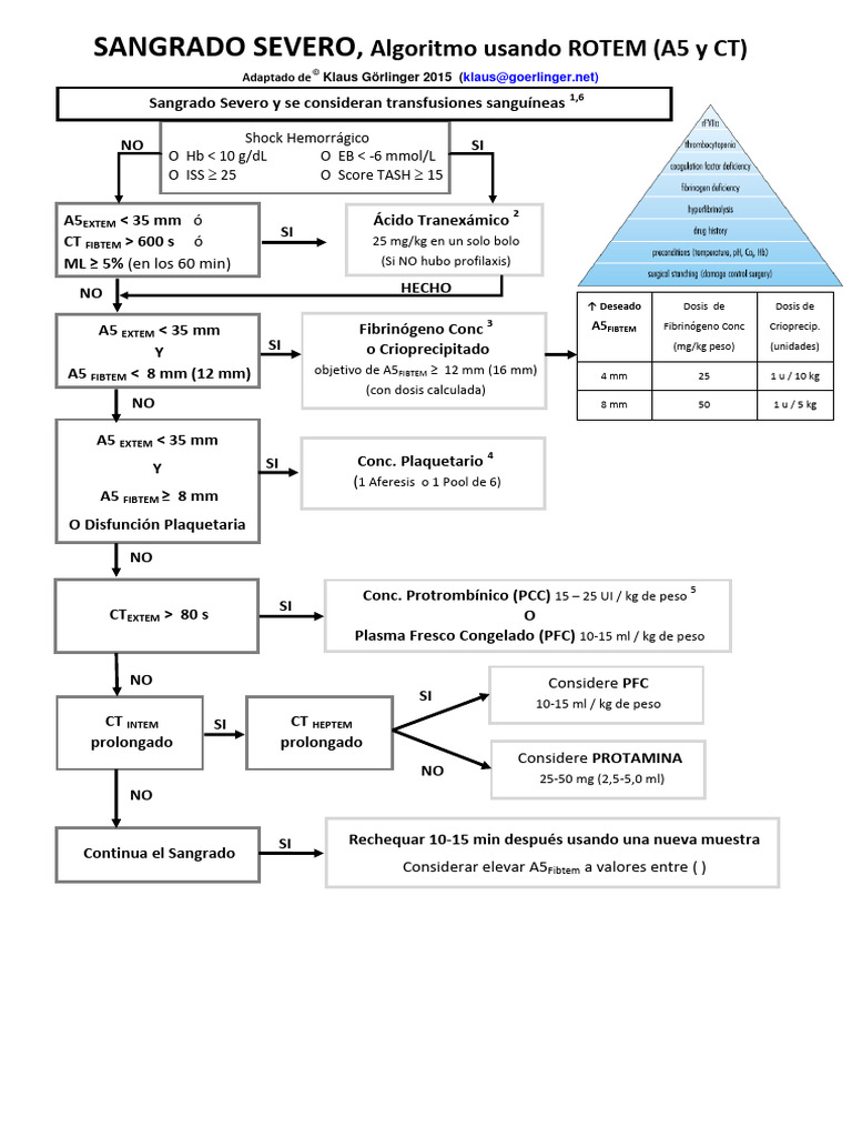 Sangrado_Severo_-_Algoritmo_de_ROTEM_usando_A5_y_CT | PDF ...