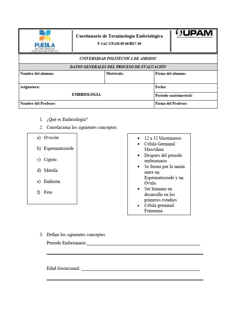 Cuestionario 1 Conceptos basicos | PDF