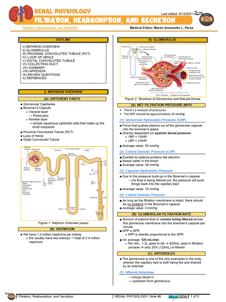 292 Renal Physiology Filtration, Reabsorption, and Secretion Overview ...