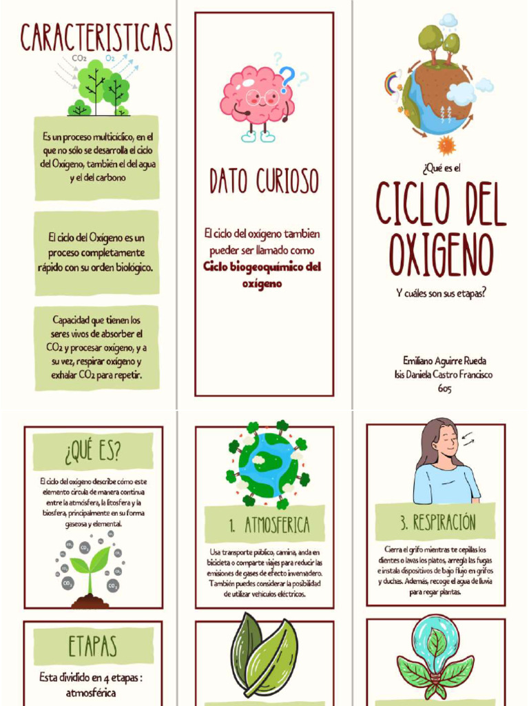 Triptico Ecologia | PDF Triptico Ecologia | PDF