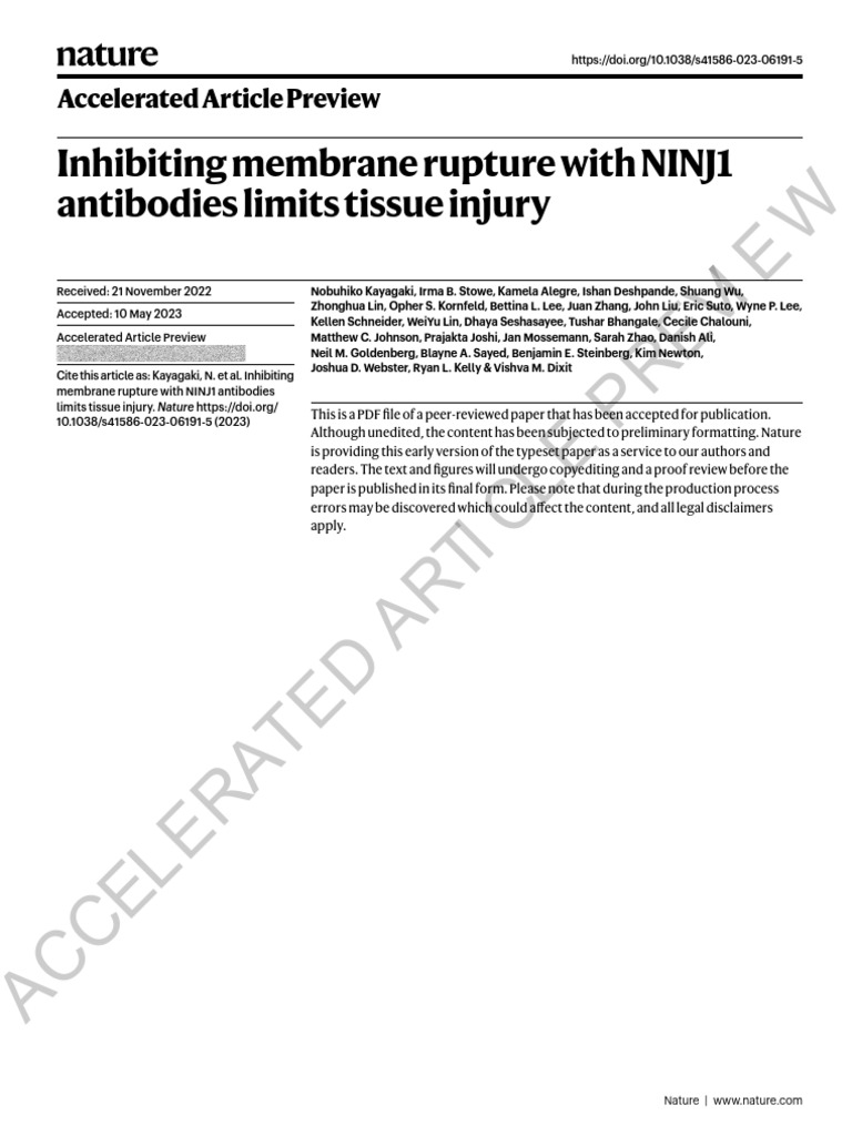 Inhibiting Membrane Rupture With NINJ1 Antibodies Limits Tissue Injury ...