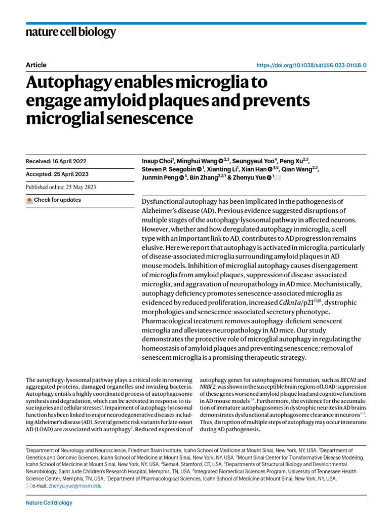 Autophagy Enables Microglia To Engage Amyloid Plaques and Prevents Microglial Senescence | PDF ...