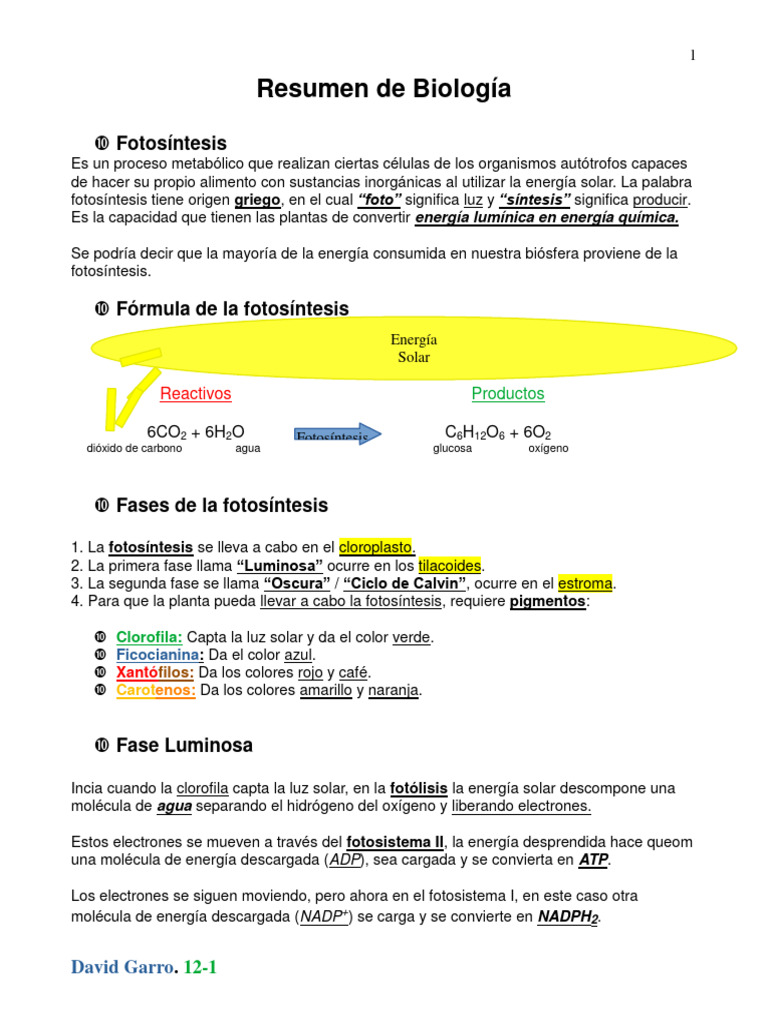 Resumen Biología | PDF | Respiración celular | Fotosíntesis