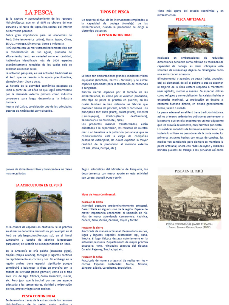 TRIPTICO La Pesca | PDF | Perú | Pescado