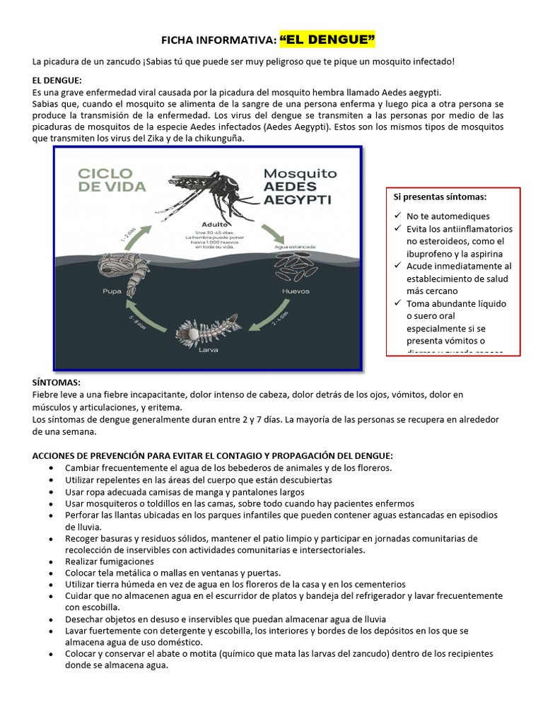 Ficha Informativa Del Dengue | PDF | Salud pública | Epidemiología