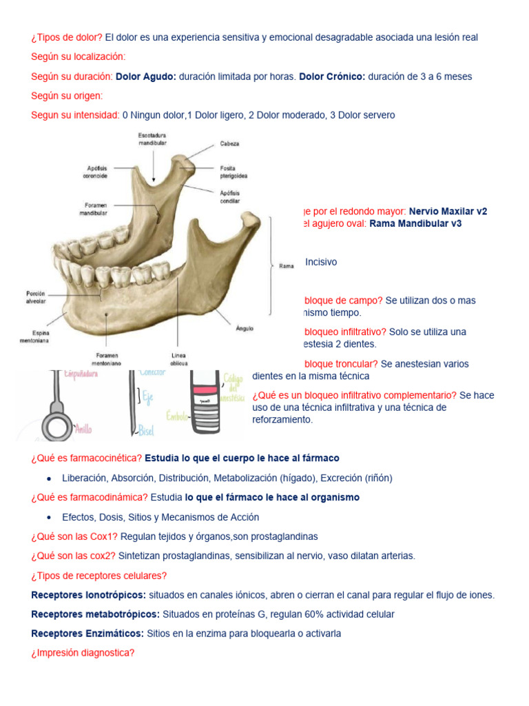 Guia Dolor Pdf Dolor Sangre