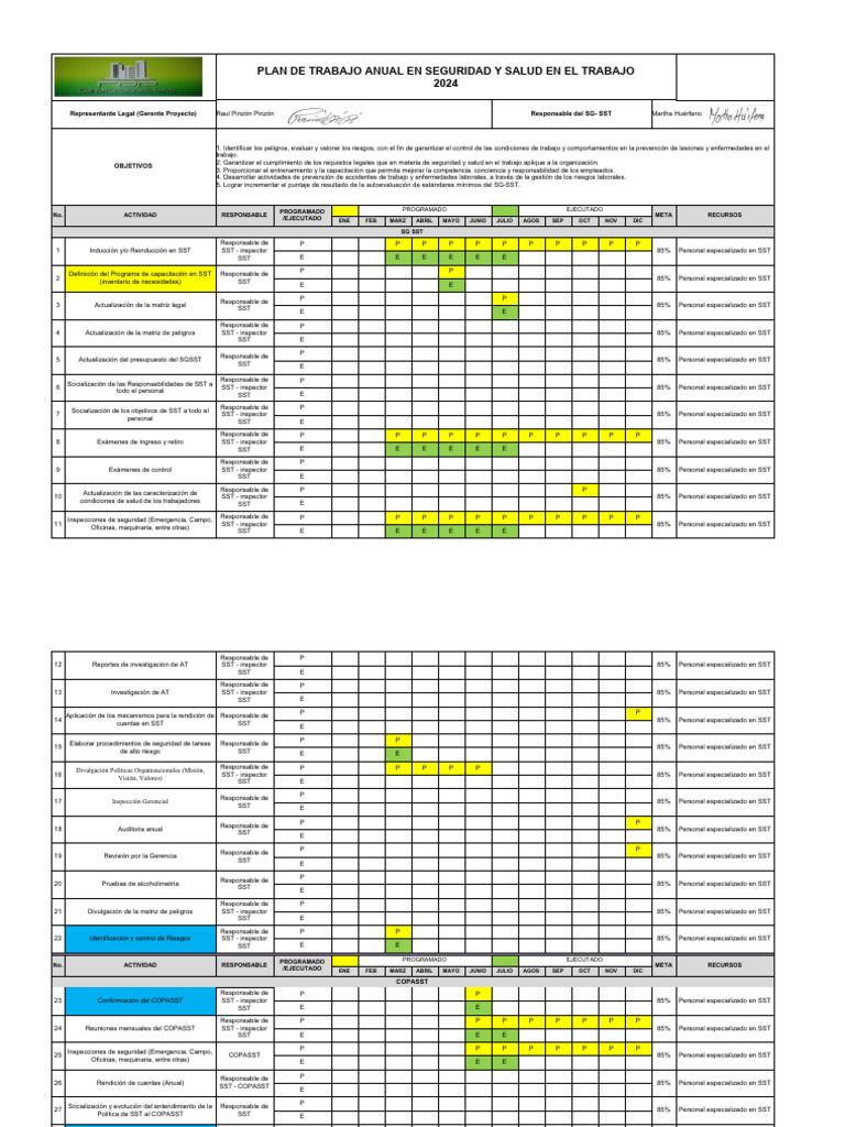 Plan de Trabajo Anual RPP 2024 | PDF