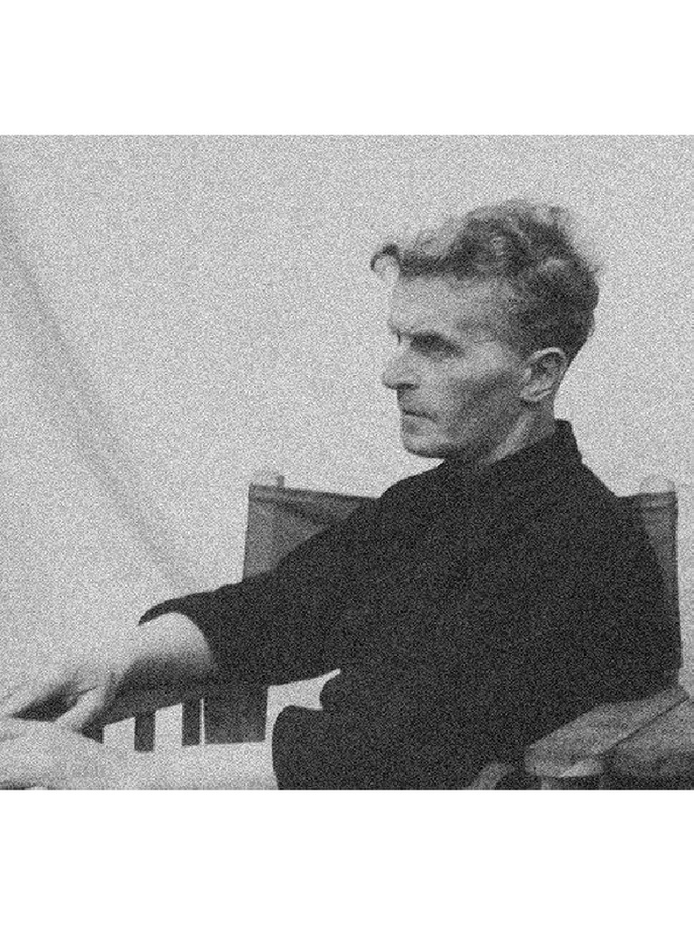 Wittgenstein Pdf