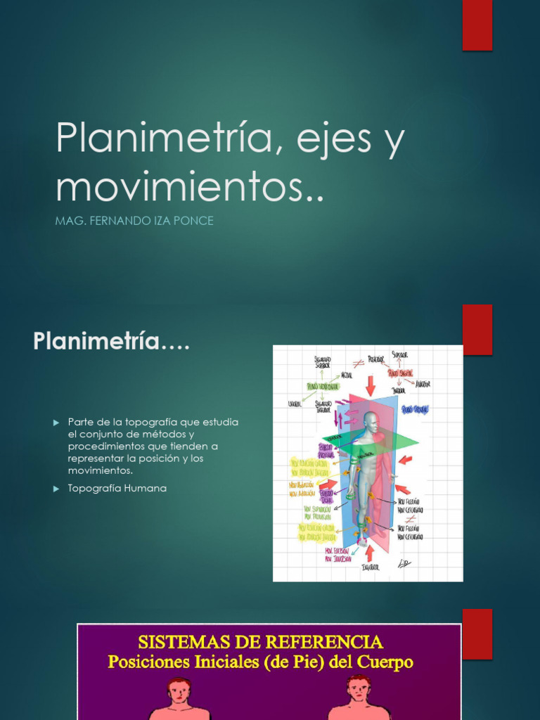 Planimetría, Ejes y Movimientos | PDF | Términos anatómicos de ...