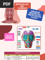 Músculos da Expressão Facial: Funções e Origem | PDF | Anatomia humana ...