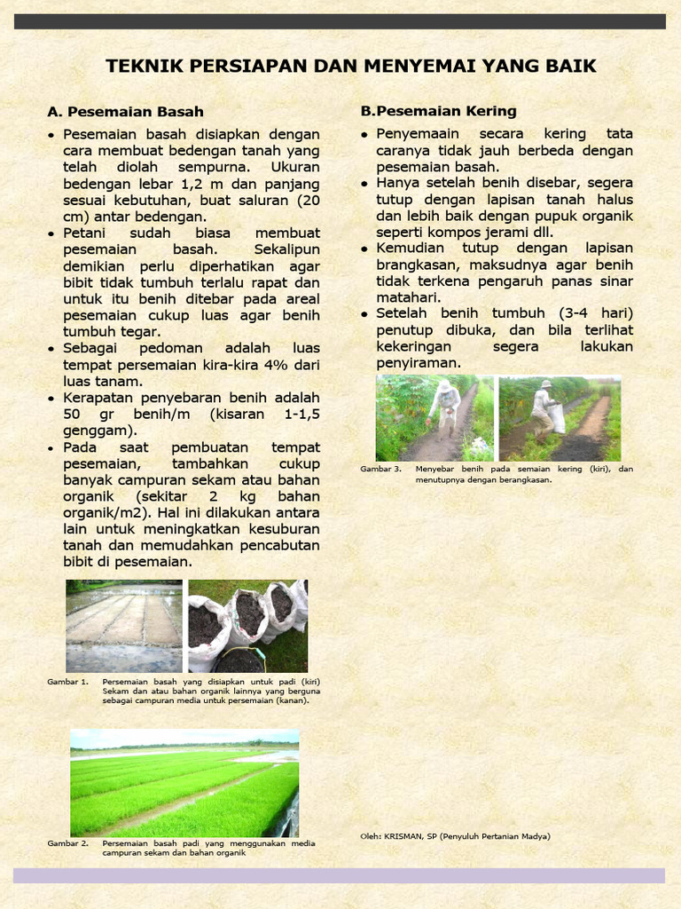 Teknik Persemaian Benih Padi | PDF