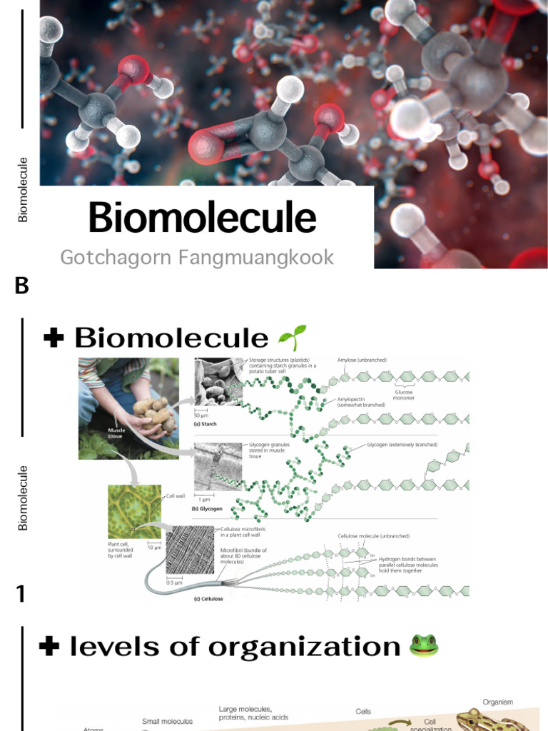 Biomolecule 2023 ? | PDF