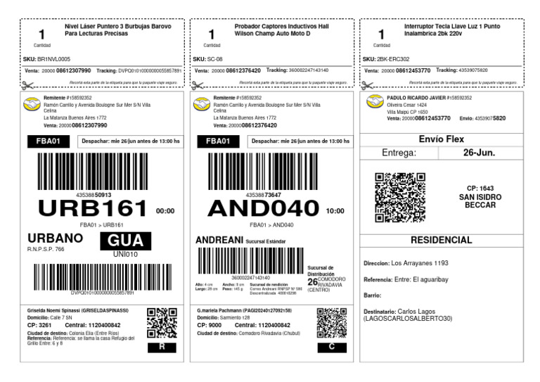 Etiquetas Mercado Libre 25-06-2024 17-29-08 | PDF