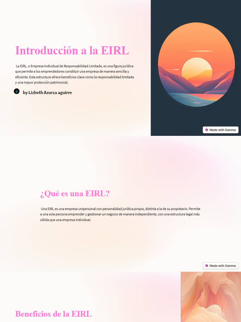 Introduccion A La EIRL | PDF | Contabilidad | Business
