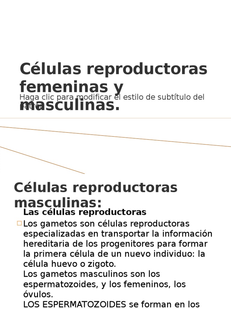 Gametos: Espermatozoides y Óvulos | PDF