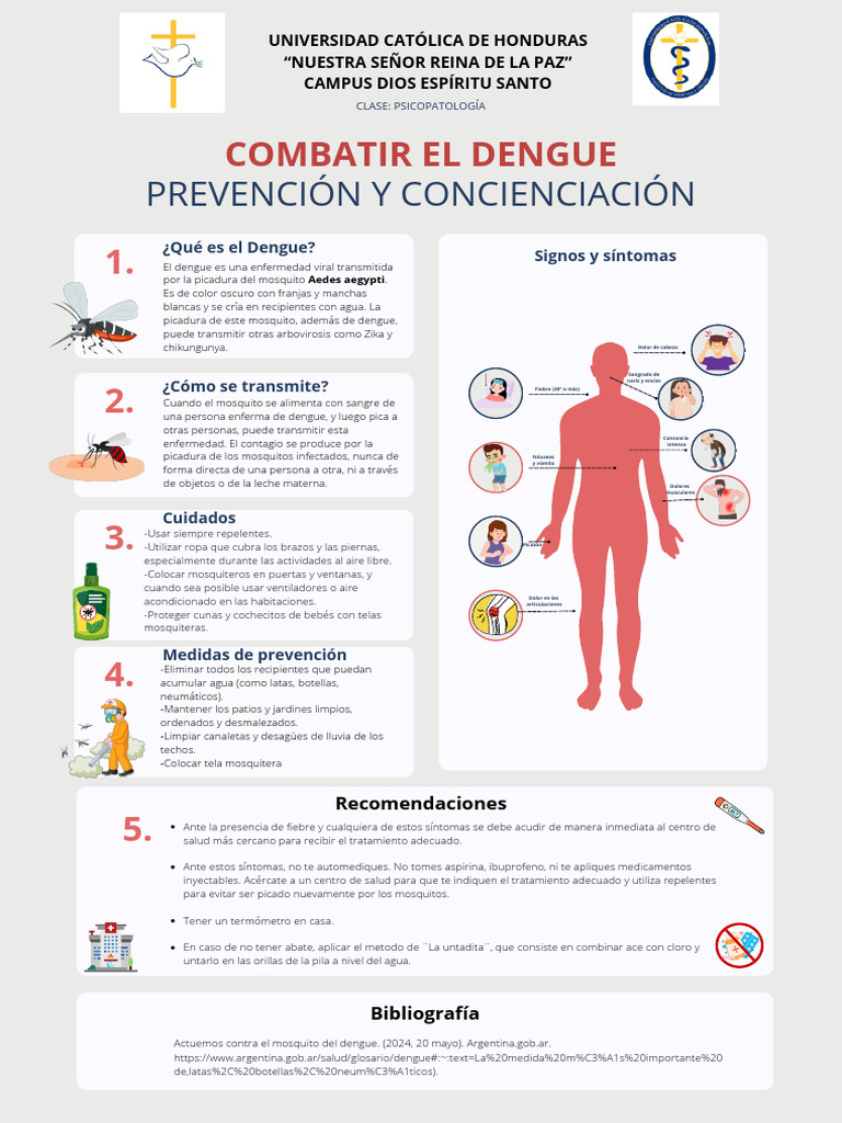 Cartel Dengue Profesional Gris y Rojo | PDF | Inmunología ...