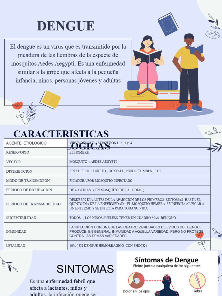 Dengue Final | PDF | Enfermedades animales | Salud pública