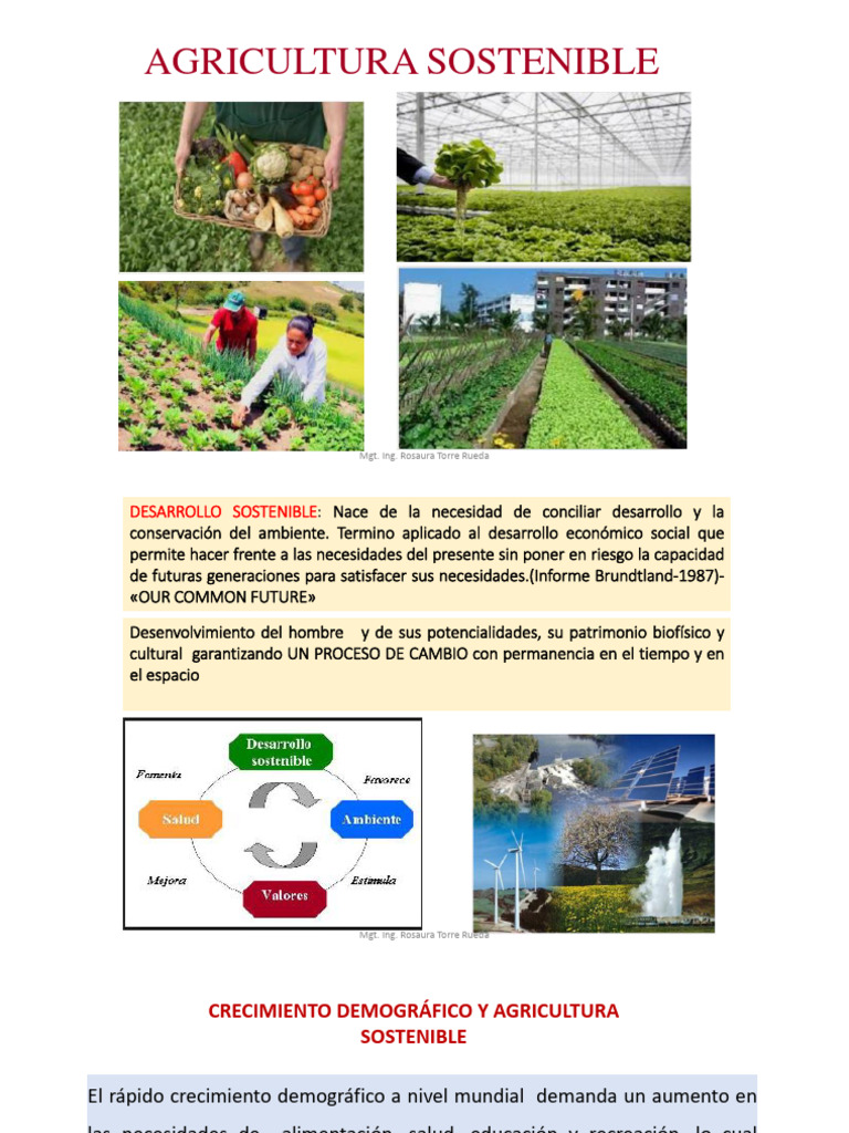 Agricultura Sostenible | Descargar gratis PDF | Agricultura ...
