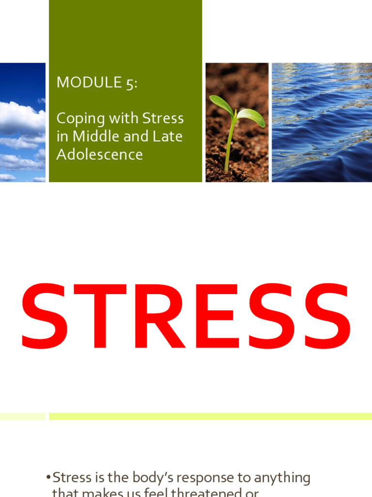 PD Q3 M5 Coping With Stress in Middle and Late Adolescence | PDF | Stress (Biology) | Fight Or ...
