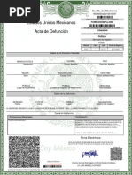 Guia ICAM - Uso Actualizacion de Aca Plus Windows | PDF | Archivo de computadora | Contraseña
