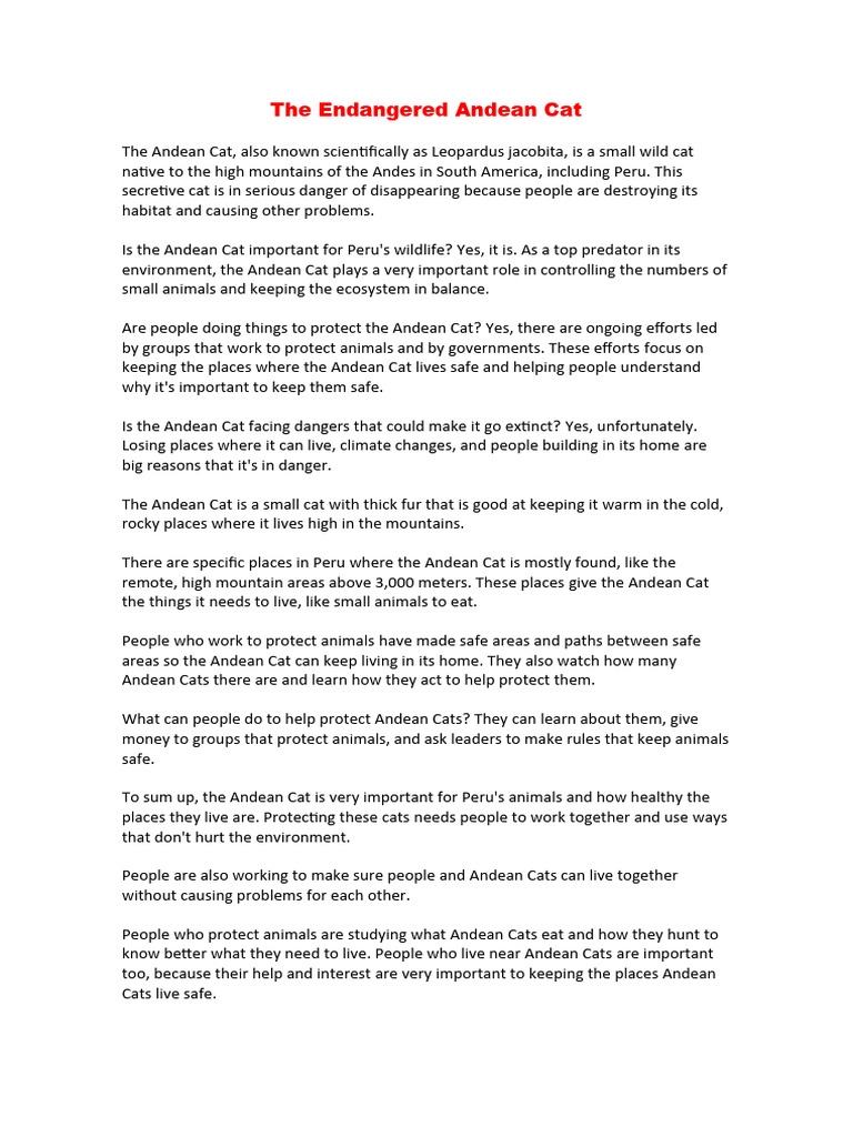 Andean Cat Conservation Efforts | PDF | Cats | Andes