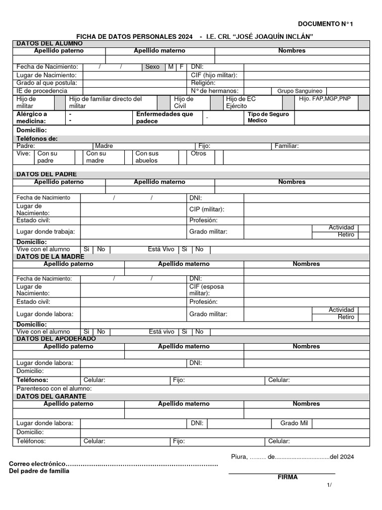 Formatos 2024 | PDF | Documento de identidad