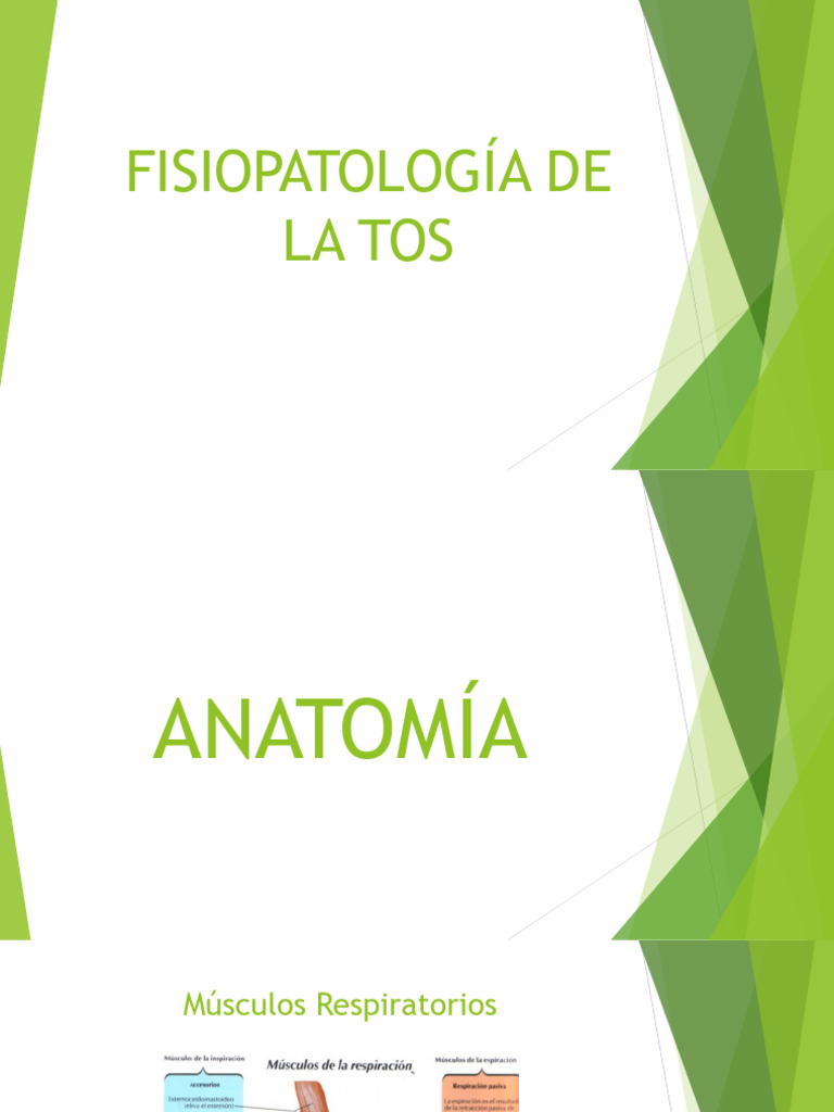 Fisiopatología de La Tos | PDF | Enfermedades y trastornos | Anatomía
