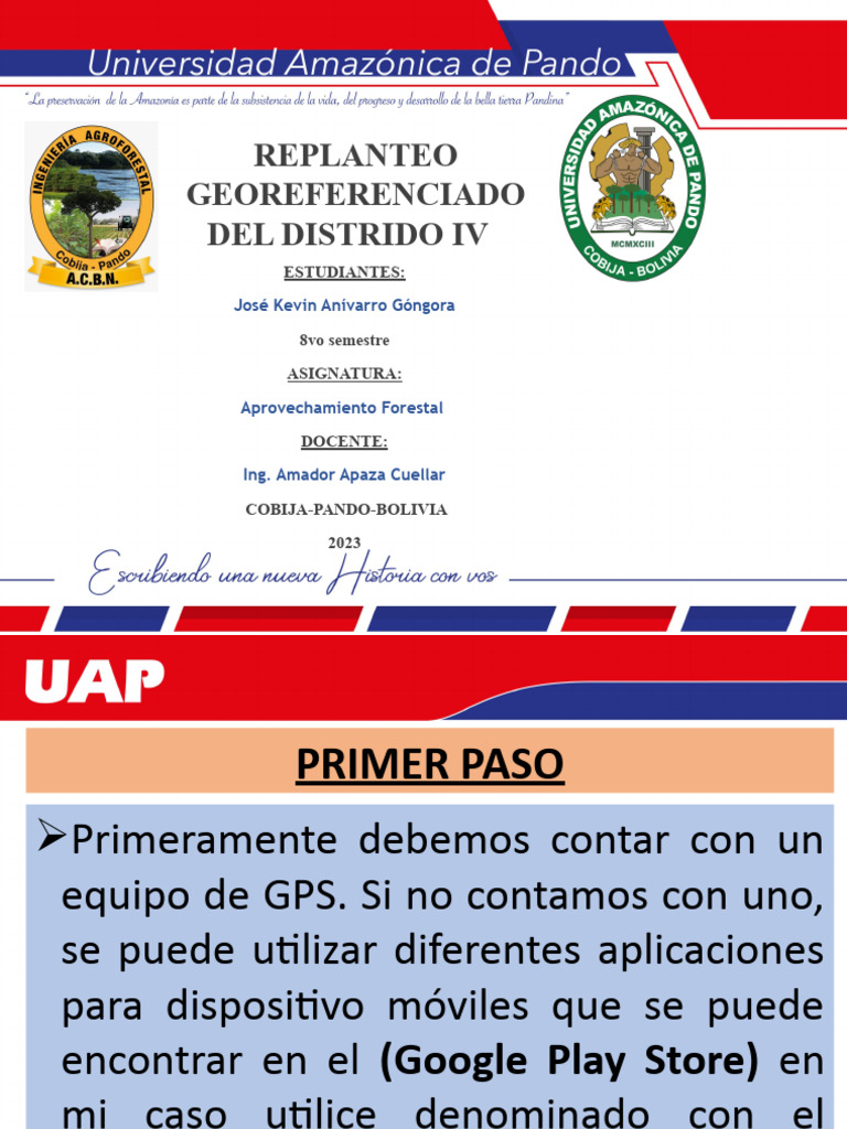 INFORME DE ELABORACION DE MAPA DISTRITO IV COBIJA | PDF
