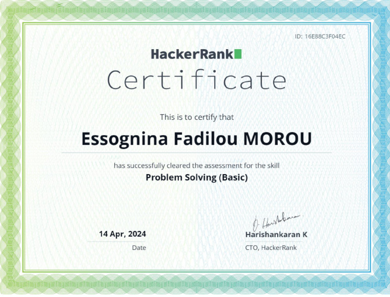 Problem Solving Basic Certificate | PDF