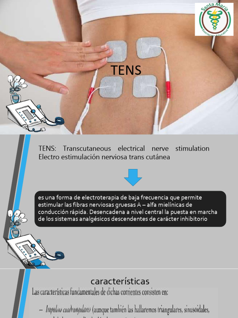 4 - Tens 2 | PDF | Sistema nervioso | Neurociencia