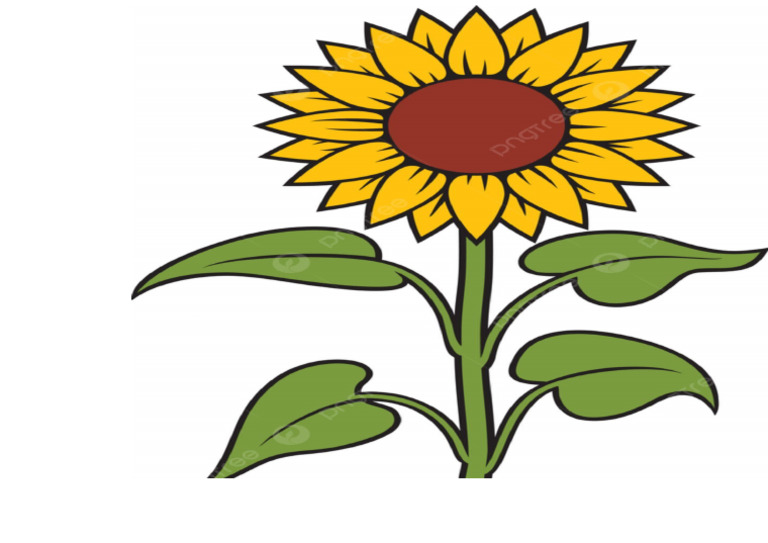 Gambar Bunga Matahari Pdf