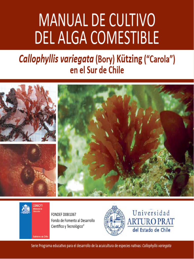 Manual Cultivo de Alga Comestible | PDF | Agua | Biología