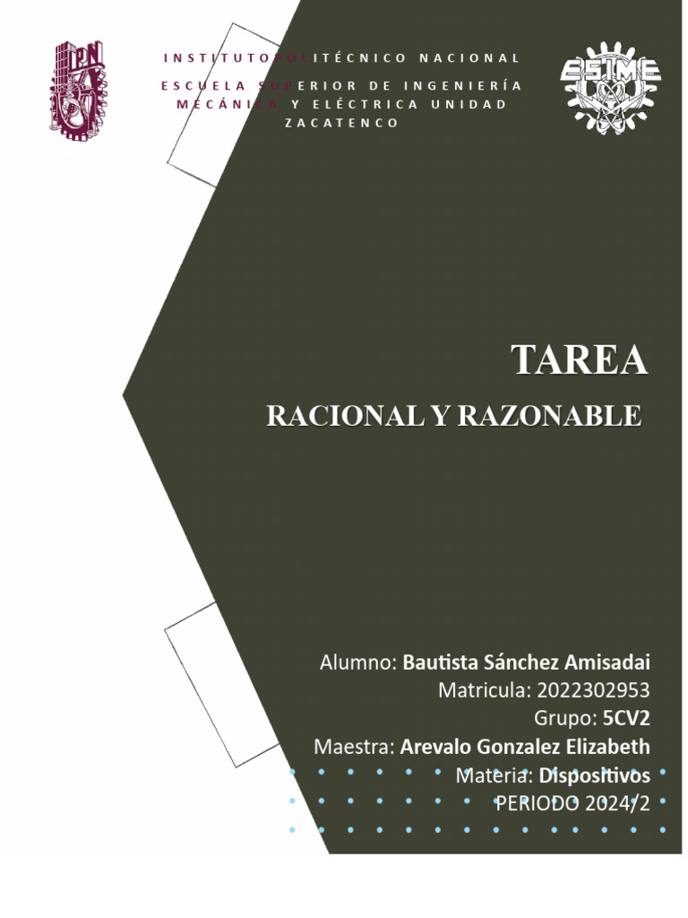 Tarea Sintesis Racional y Razonable | PDF | Razón | Vida