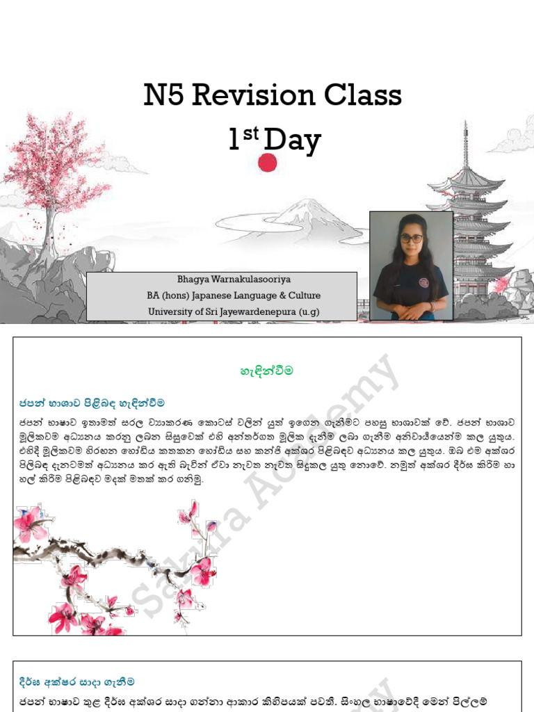 JLPT N5 Class 1st Day Revision | PDF