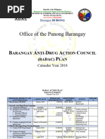 BADAC Plan 2023-2025 | PDF | Government