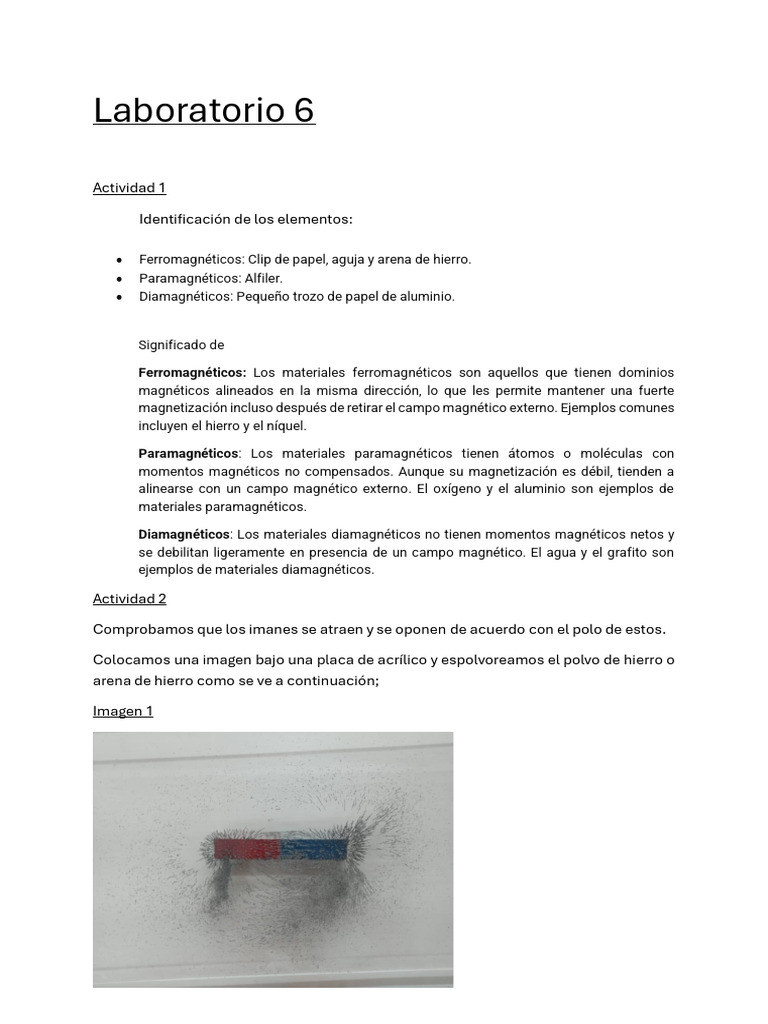 Lab 6 | PDF | Magnetismo | Imán