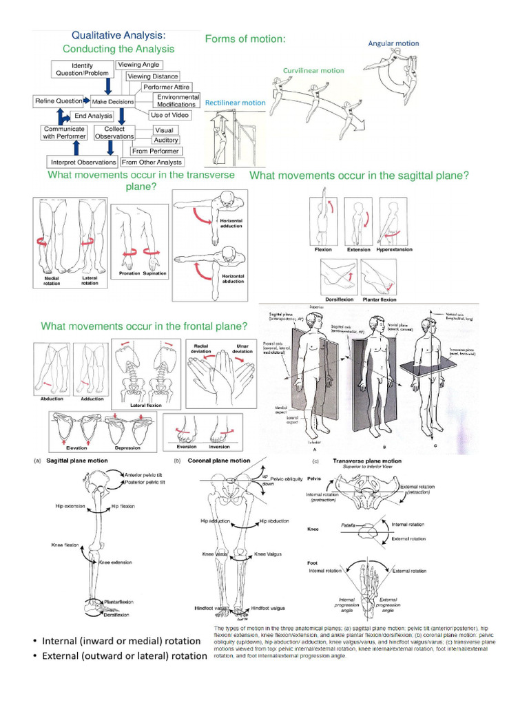 Planes of Motion | PDF