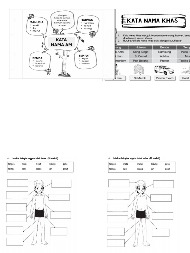 Worksheet PK | PDF