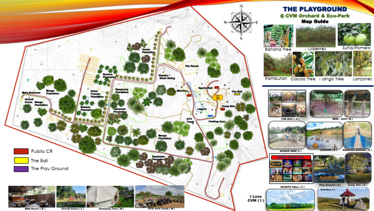 The Playground Site Map | PDF | Edible Plants | Trees