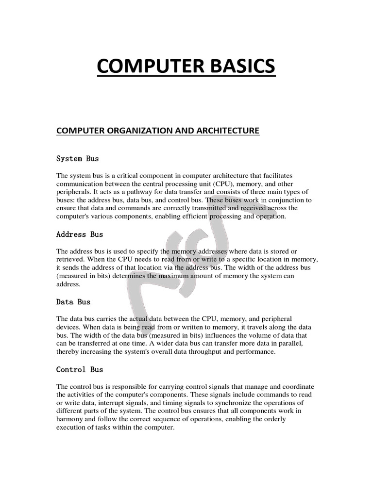 COMPUTER BASICS | Download Free PDF | Random Access Memory | Computer Data Storage